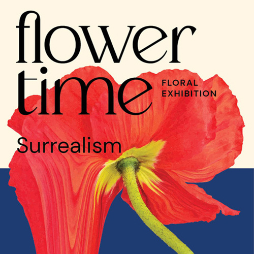 Visitors | Visit Brussels