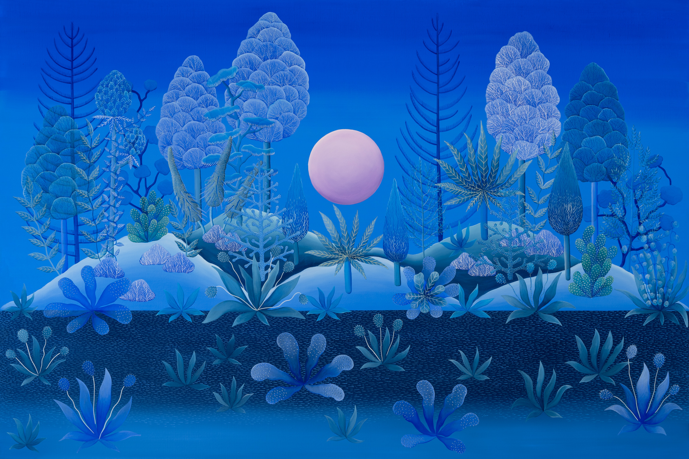 Clay, Pigments & Fluff : Shishi San, Claire Nicolet, Jacques Merle ...