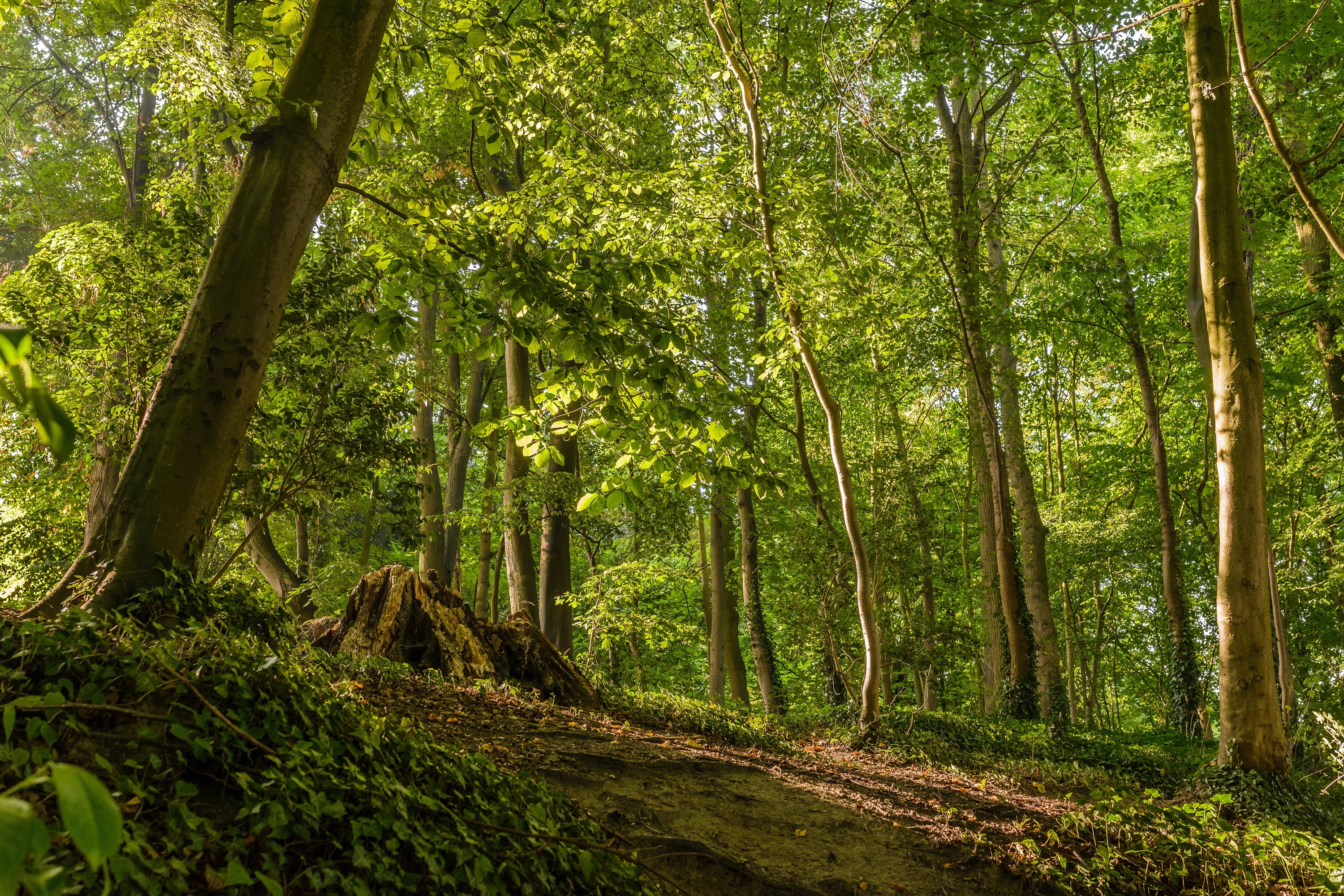 Tous les parcs bruxellois | Visit Brussels