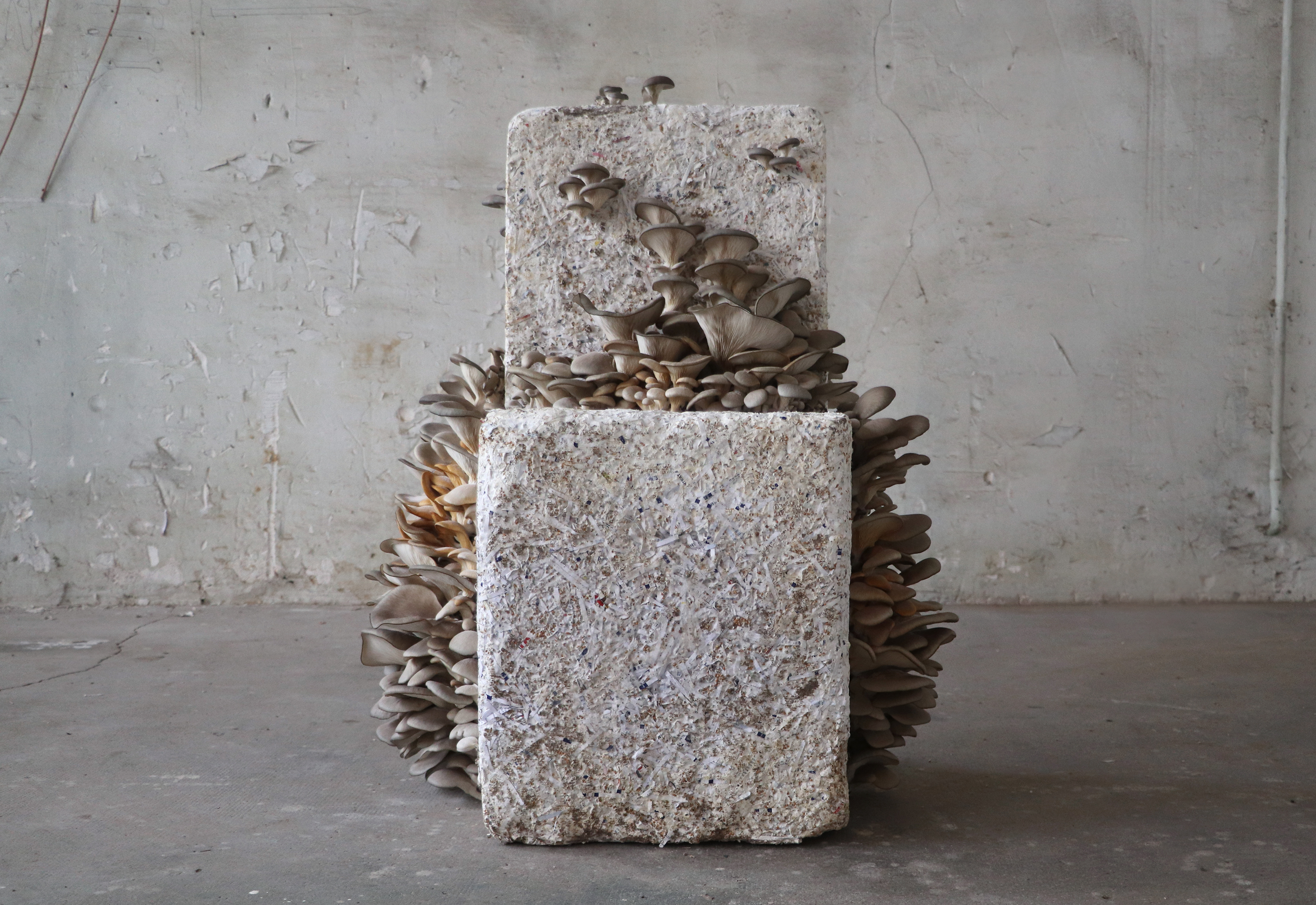 Bailli–Châtelain: a chic and trendy Brussels neighbourhood | Visit Brussels