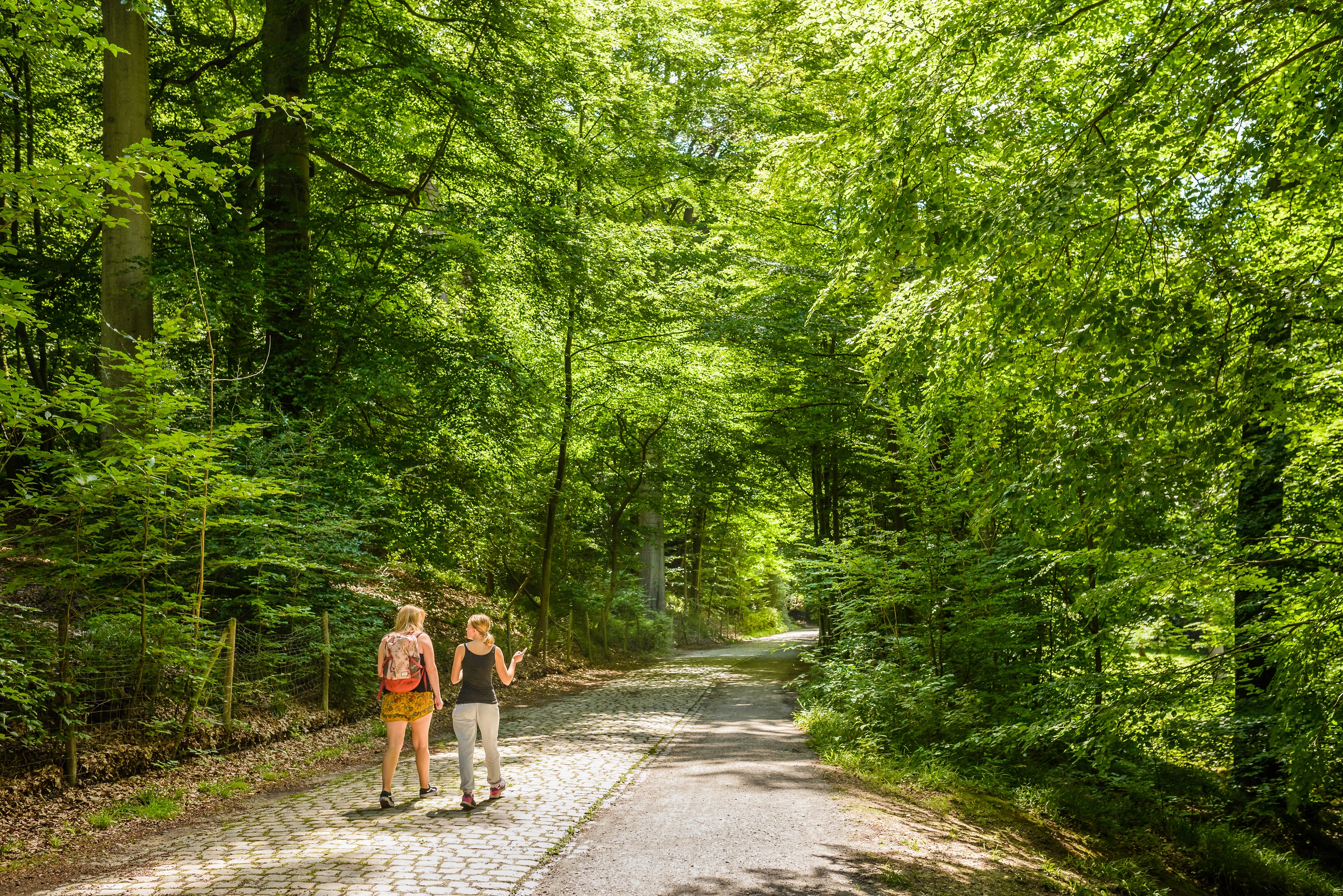 Brussels parks and forests | Visit Brussels