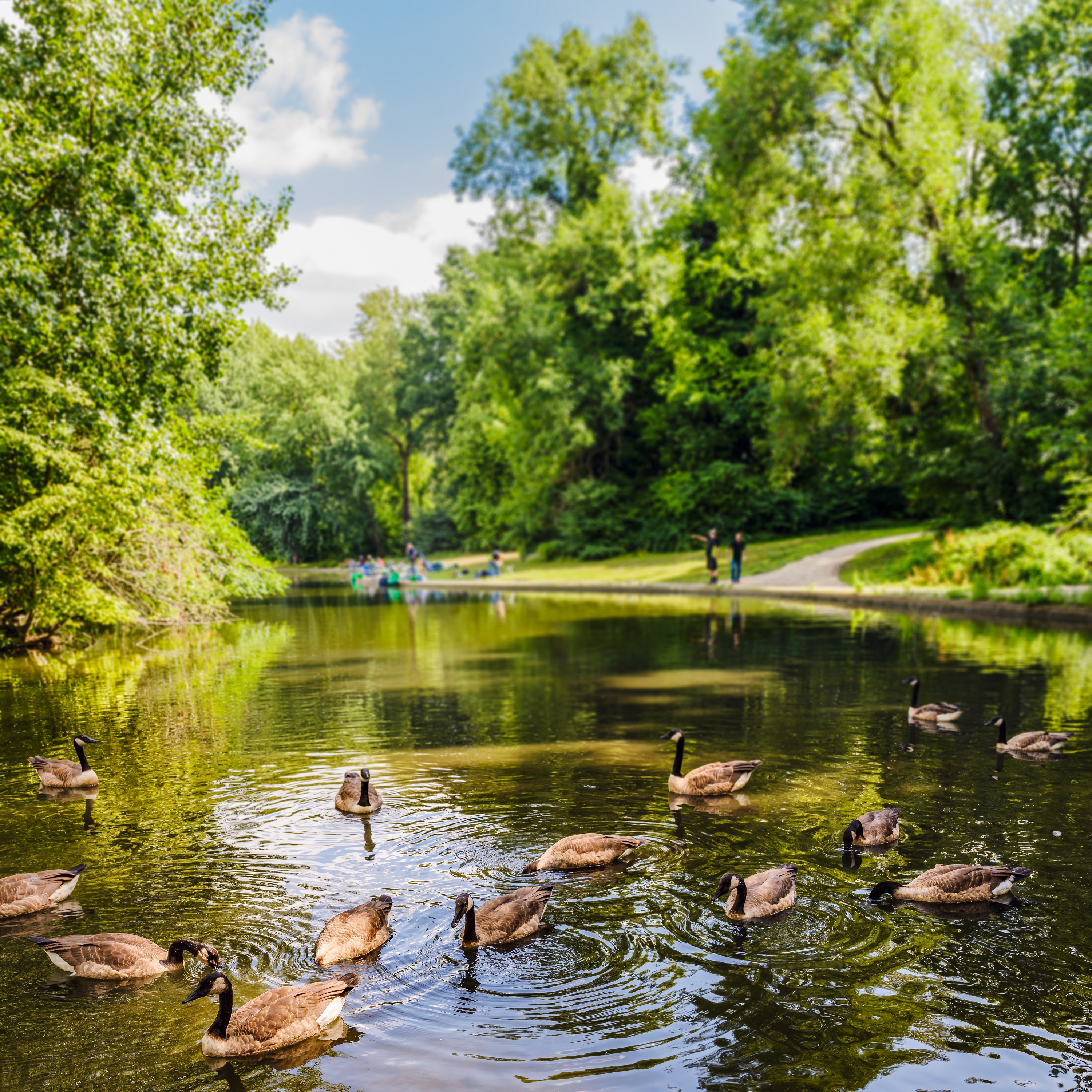 Brussels parks and forests | Visit Brussels
