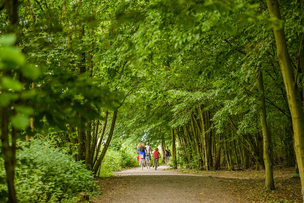 Koning Boudewijnpark | Visit Brussels