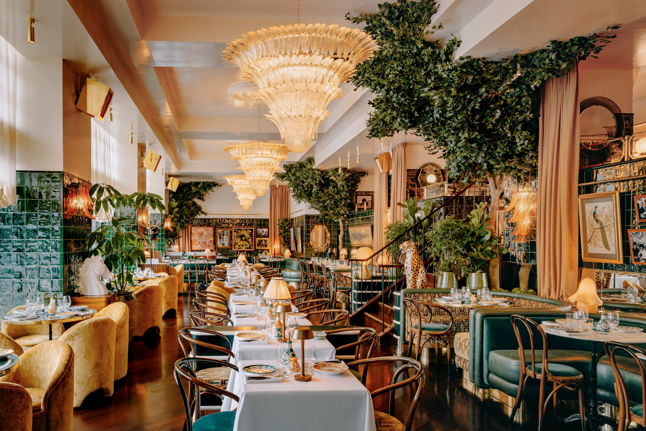 Barracuda | Visit Brussels