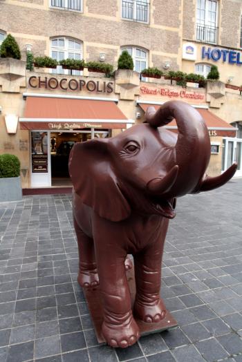 Chocopolis | Visit Brussels