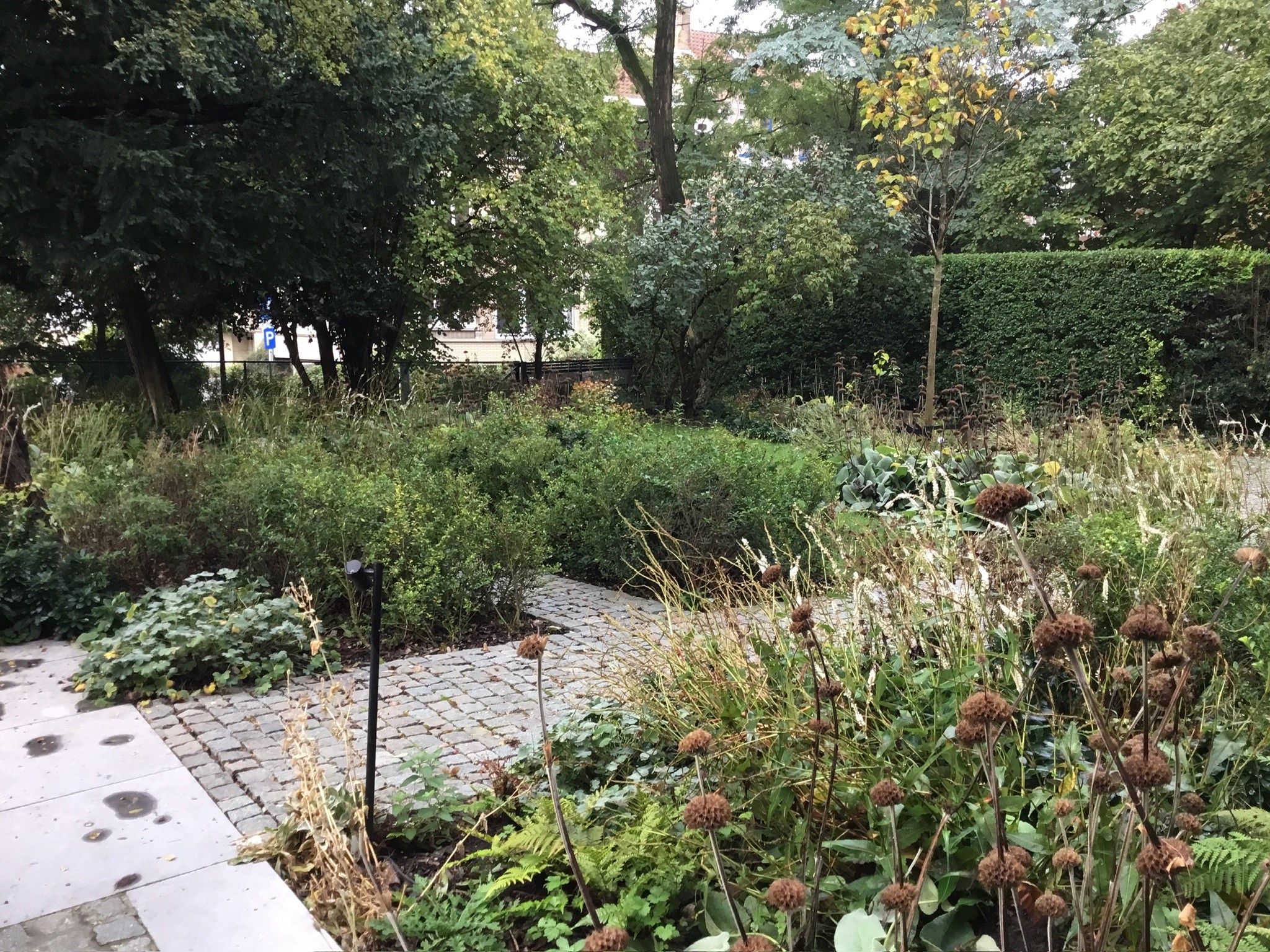 Donderberg | Visit Brussels