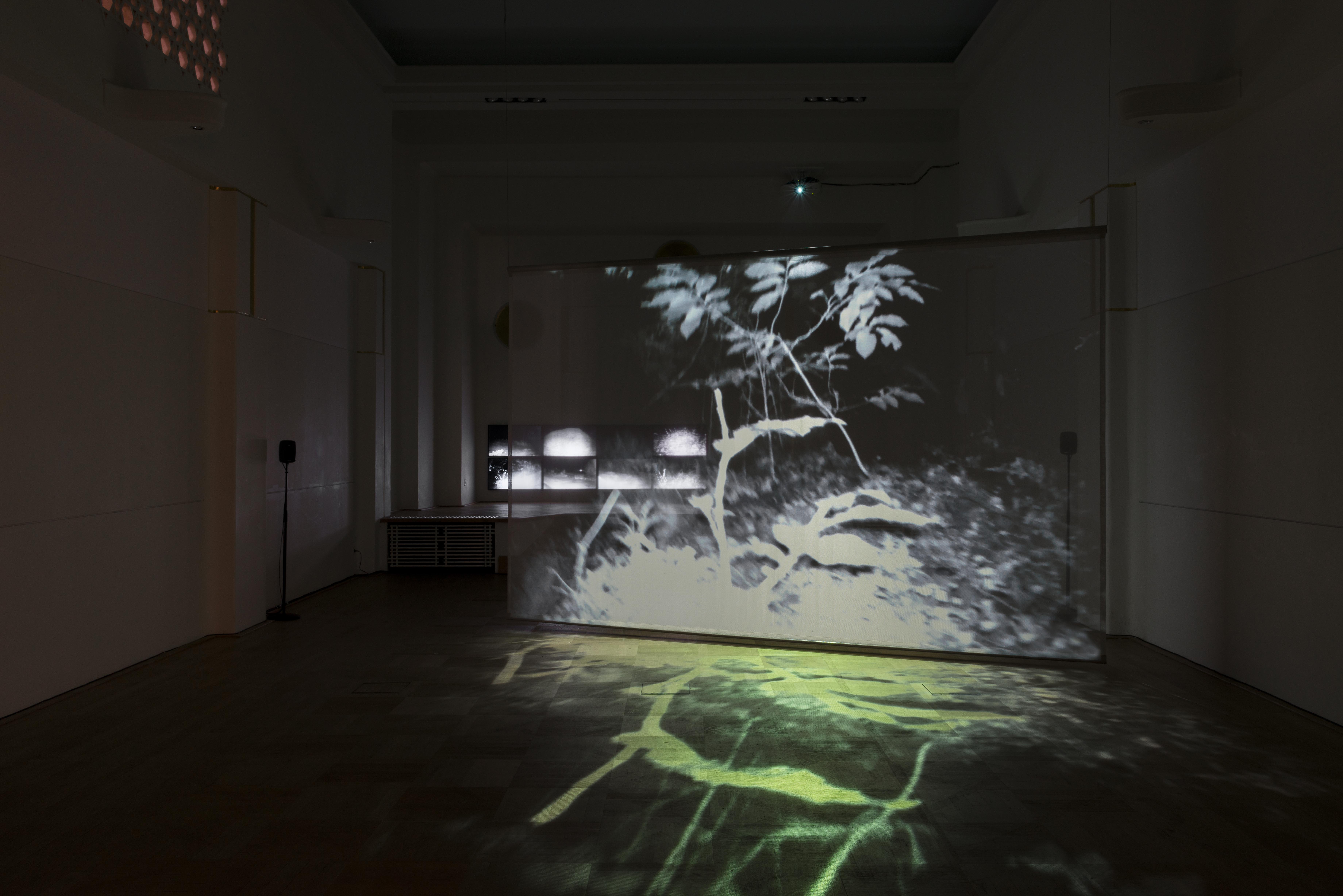 Things to do in the neighbourhood of Bailli-Châtelain | Visit Brussels