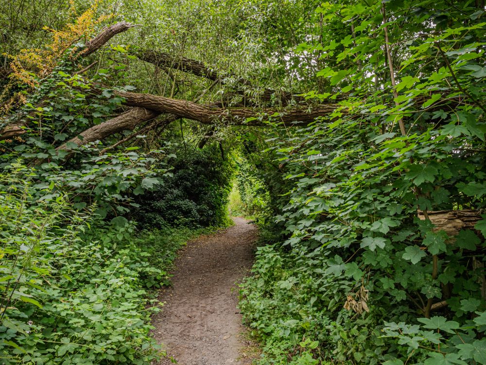 Brussels parks and forests | Visit Brussels