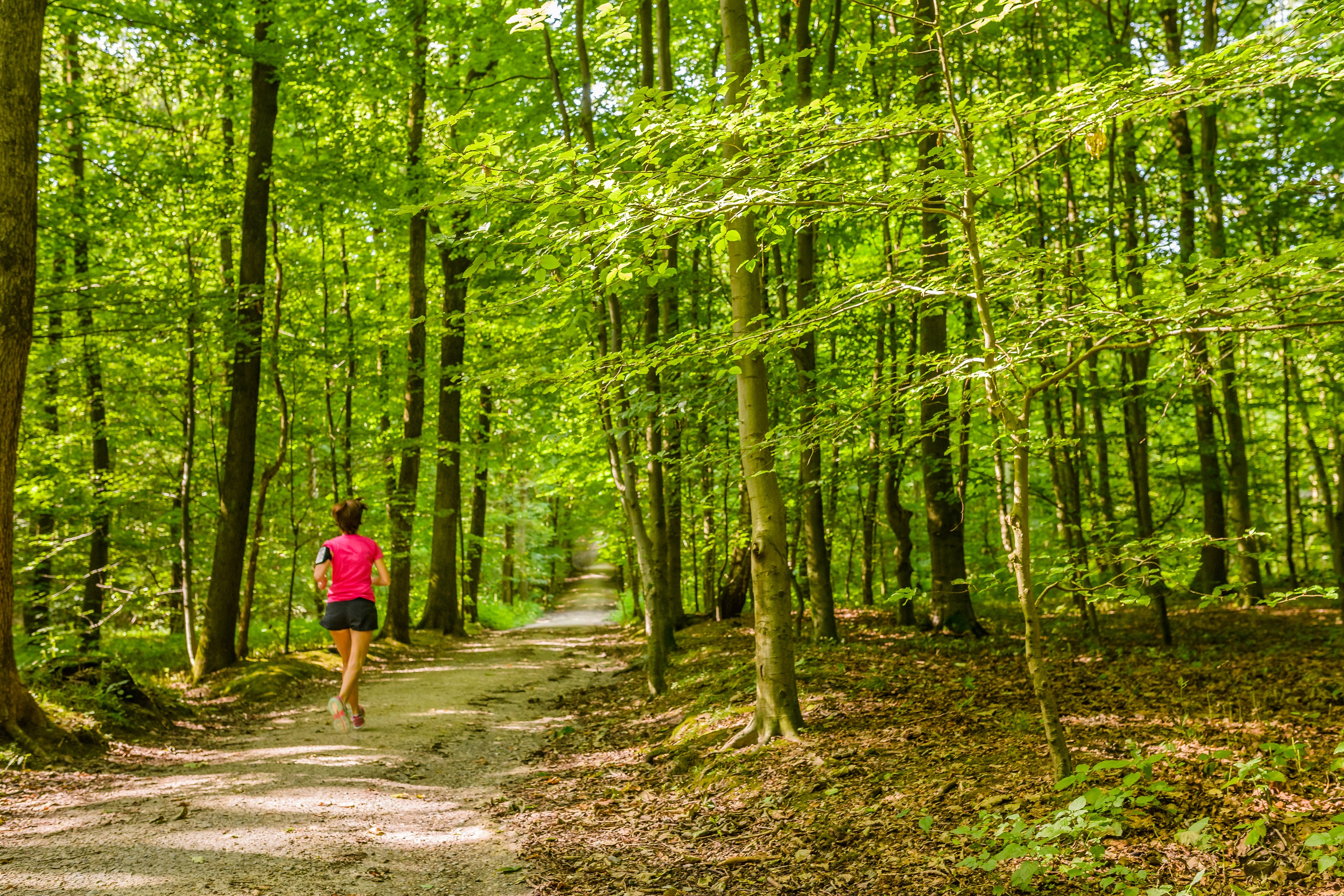 Brussels parks and forests | Visit Brussels